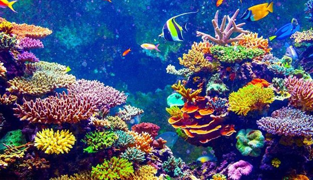 ¿Porque es importante evaluar el agua de acuarios? | Productos para ...