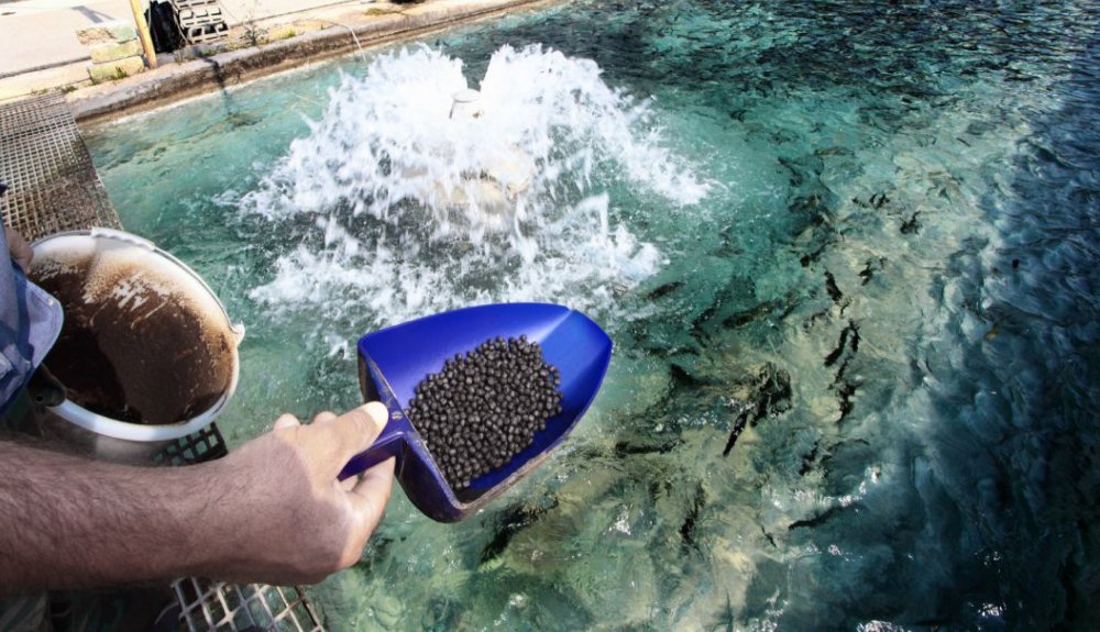 Medición de Alcalinidad en tratamiento de aguas para acuicultura ... Medición de Alcalinidad en tratamiento de aguas para acuicultura ...